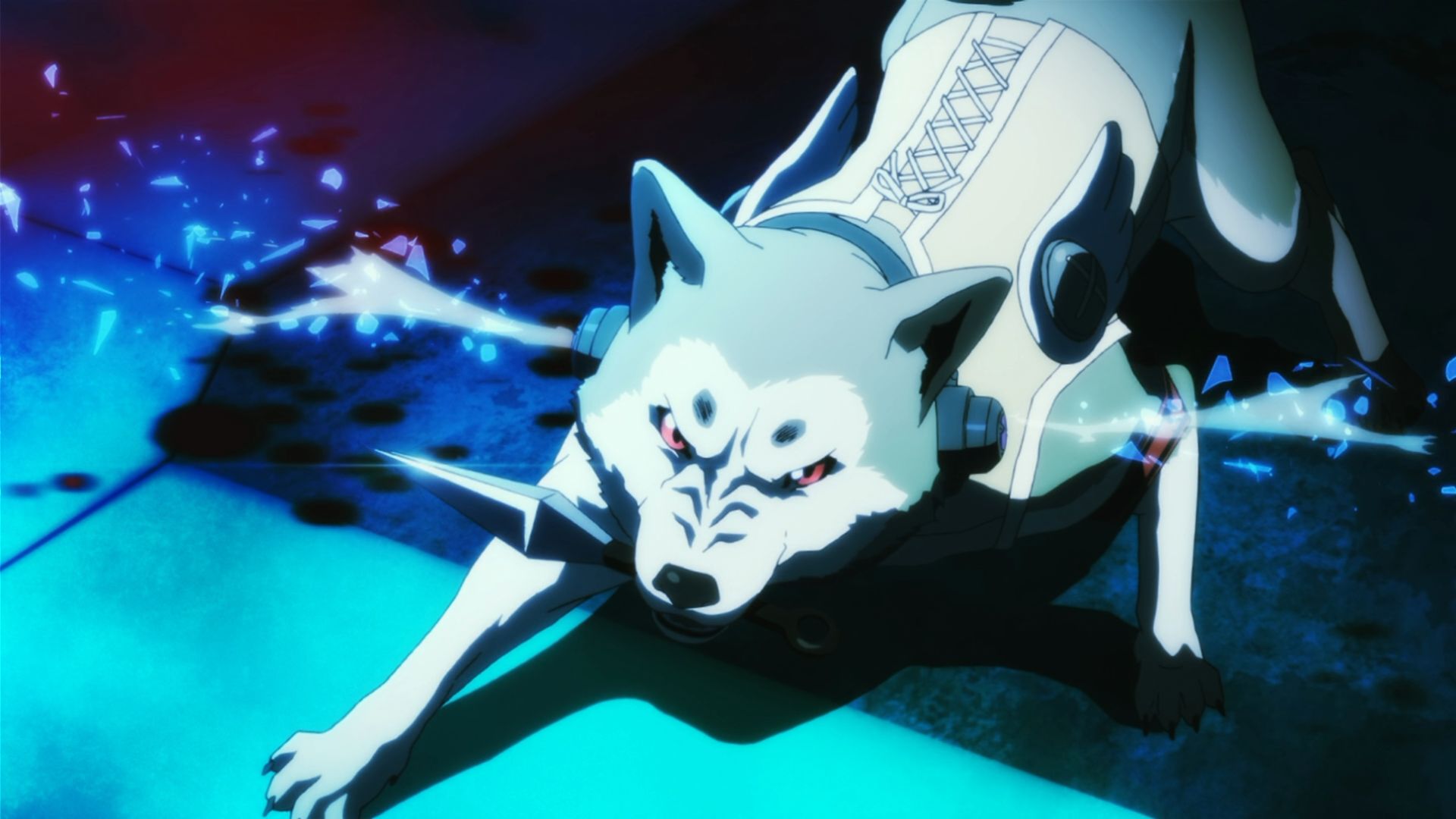 내 첫 아다는 친척집 강아지였음.ssul | (백업)유머 게시판(2020-2021)