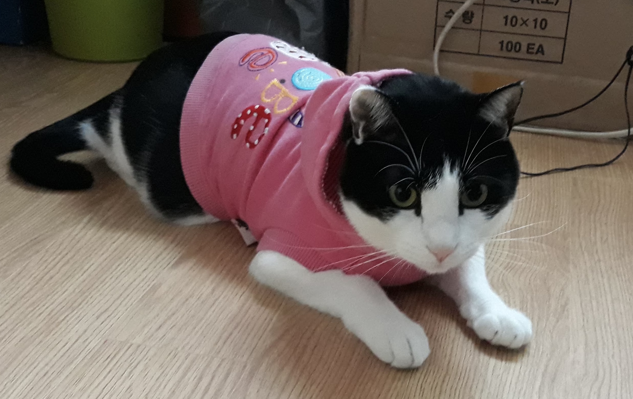 아저씨 왜 출발안해요!! | 유머 게시판