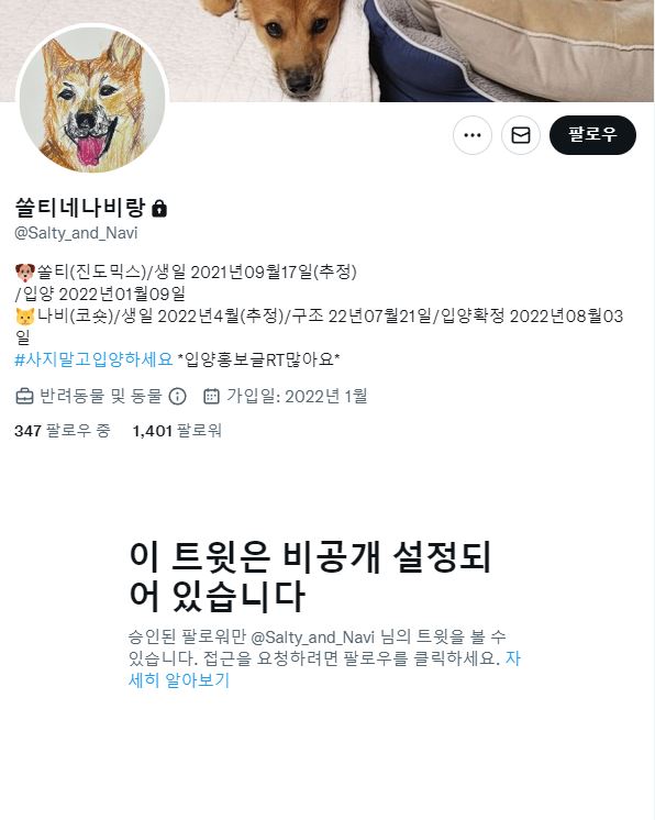 대형견 4마리를 오피스텔에서 키우는 견주.jpe | 유머 게시판 | RULIWEB