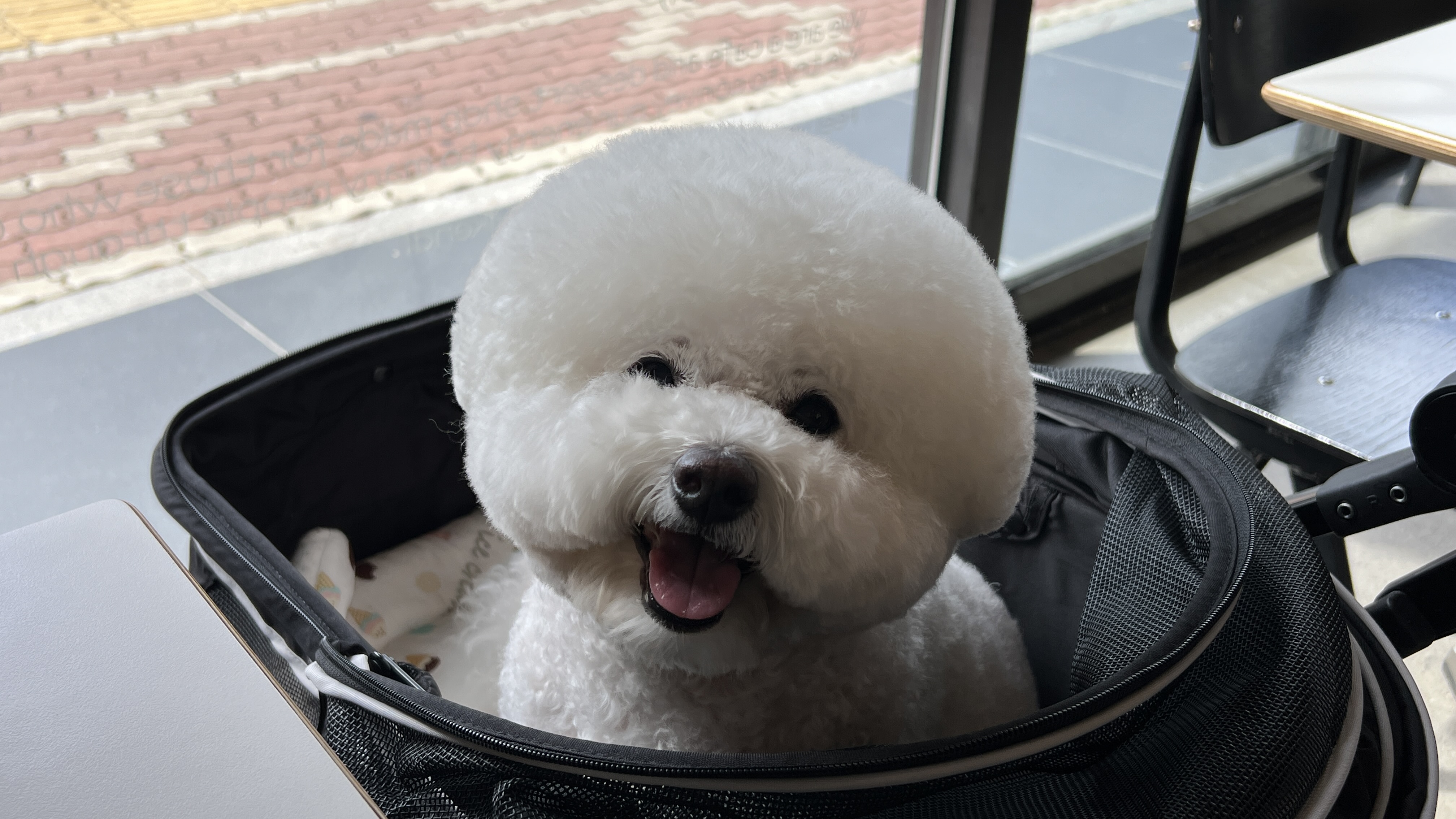 좋은 애플망고가 손에 들어와서 만들어본 그것. | 음식 갤러리