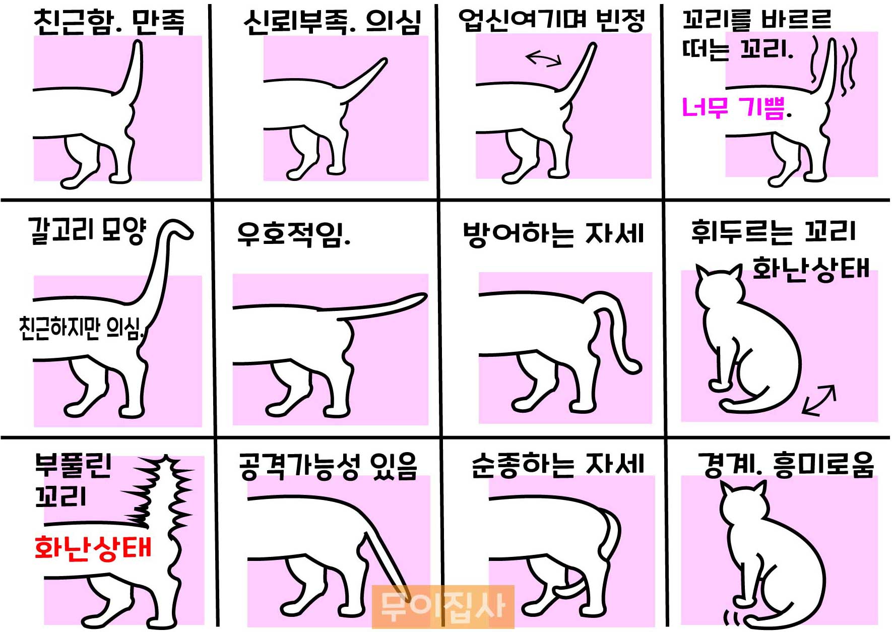 꼬리로 유혹하는 고양이 유머 게시판