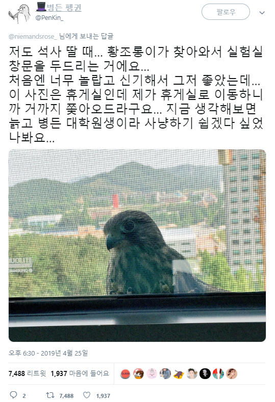 맹금류 황조롱이와 참매의 차이점jpg