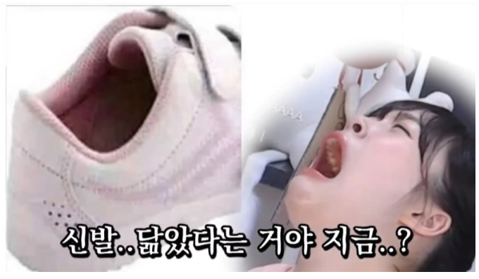 고양이 그림 보고 당황하는 마젠타와 신발