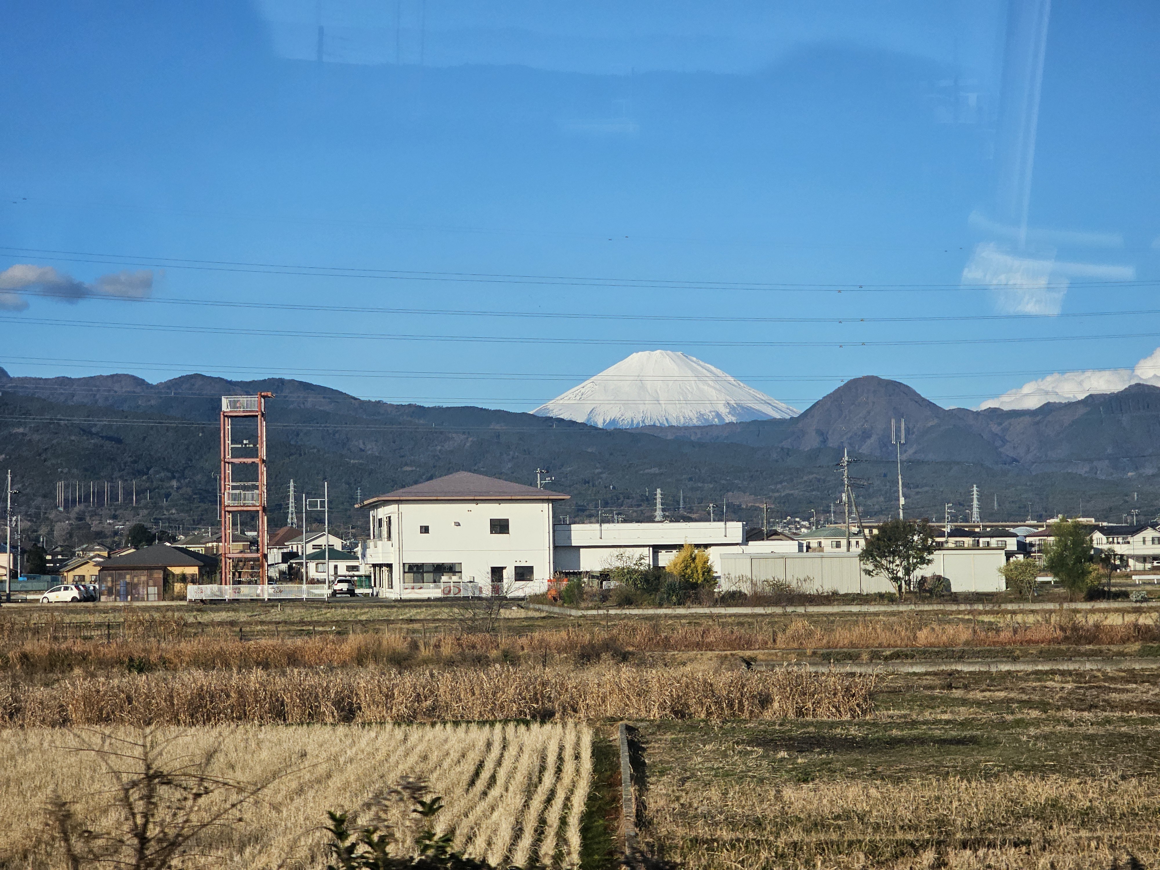 내 23일차 일본여행 라인