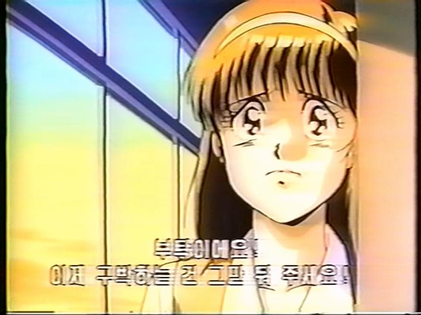 잘못알려진 국내 오타쿠 1세대 유입