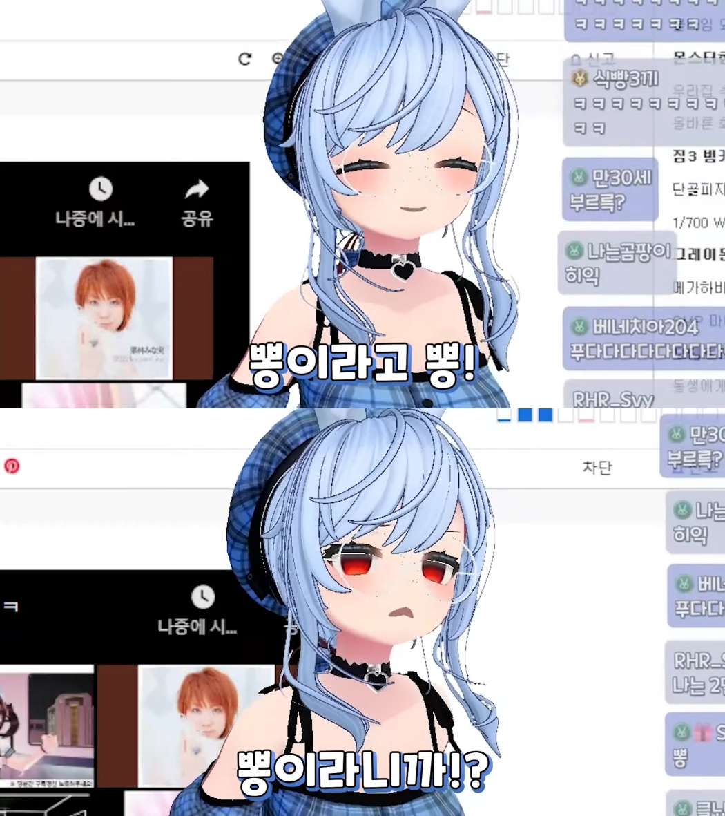 버튜버 사사 토끼풀 들어봐요 얘들이 내 겨 맛 평가를 한다니까