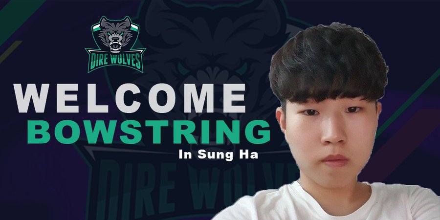 Dire Wolves, 새 한국인 원딜 영입 | 리그 오브 레전드