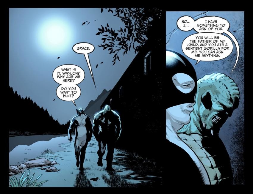 범고래 임신 시킨 악어.jpg | 유머 게시판