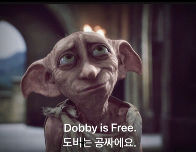 도비가 해리포터에 나오는 애였구나