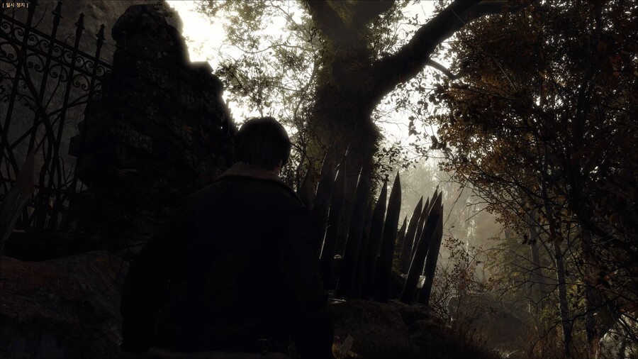 바하4re 쩌는 광원효과 ,네이티브4k + 레이트레이싱풀옵.. | 바이오 하자드 RE:4