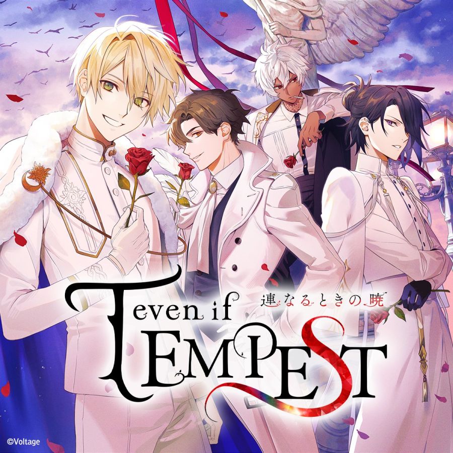 even if TEMPEST 연결될때의 새벽 발매예정 | NS 정보