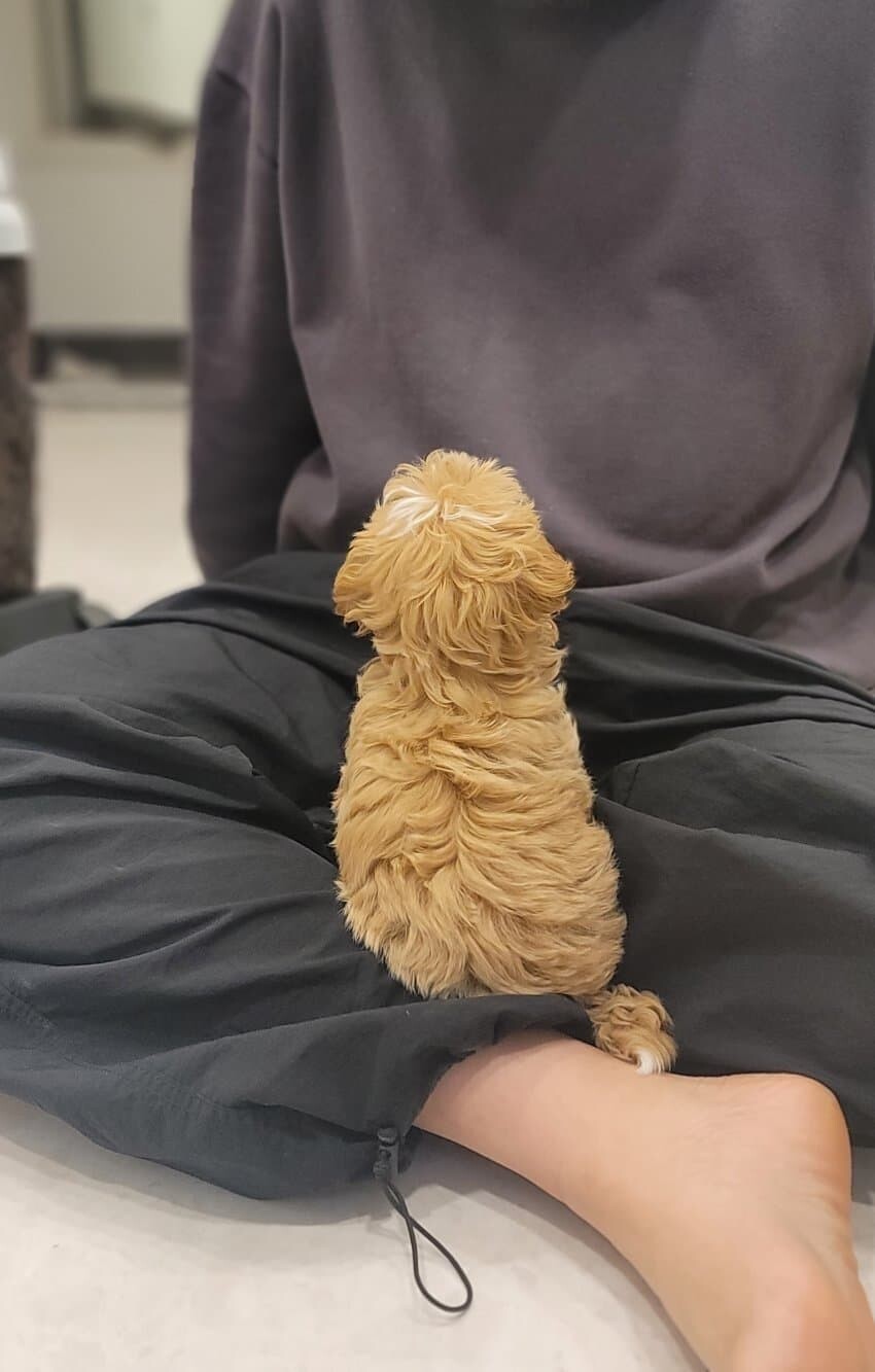 자지인증 모음 | 유머 게시판