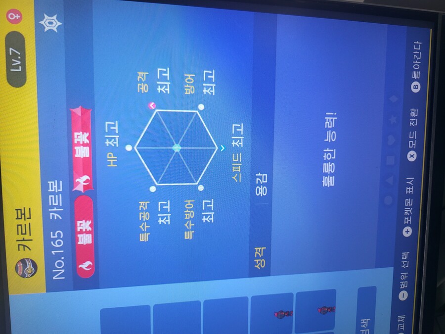 카르본 6v 불꽃 몸 용감 나눔 | 포켓몬스터 스칼렛/바이올렛