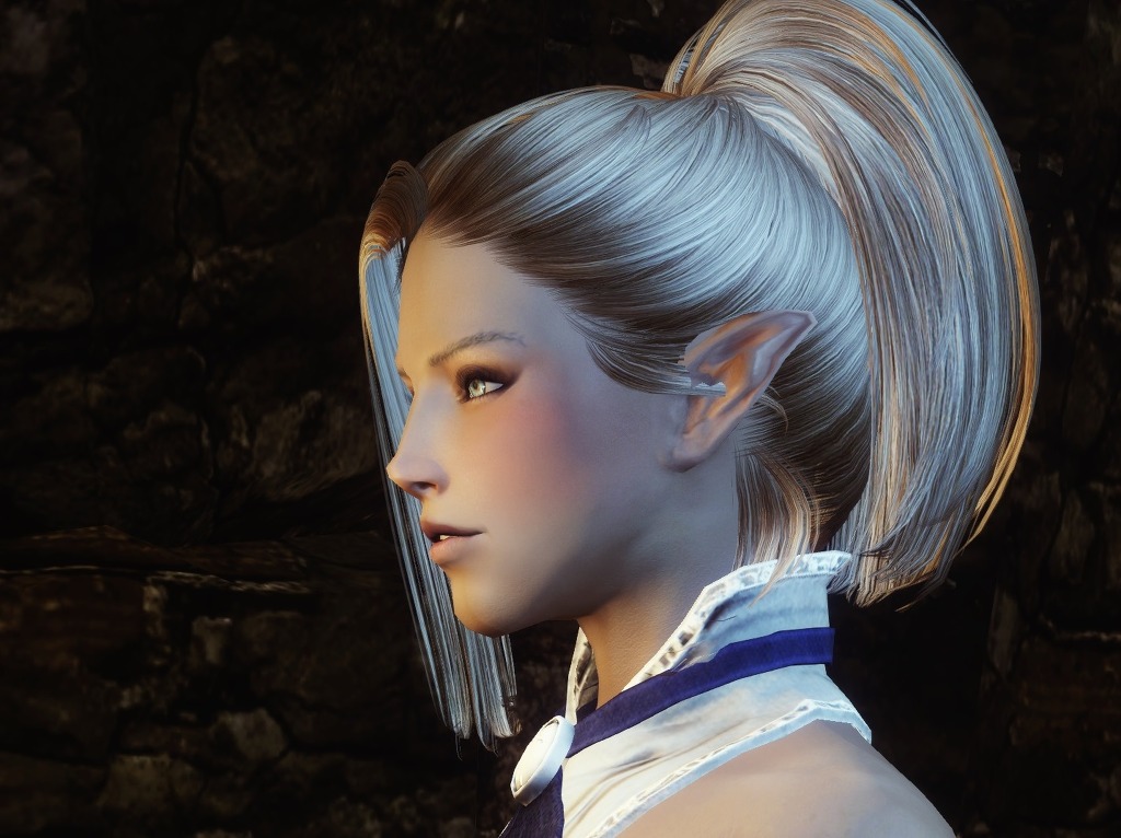 [bgm] 드림팀 | 엘더스크롤 5: 스카이림 | RULIWEB