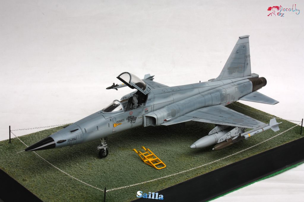 KF-5E/F 18th FW Gangneung AB 강릉 제18전투비행단 | 프라모델 스케일모형 갤러리