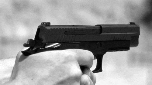 SIG-Sauer P226 권총 | (백업)유머 게시판(2017-2018)