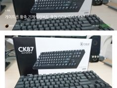 게이트론 황축 기계식키보드 추천 COX 콕스 CK87 | PC 조립/견적