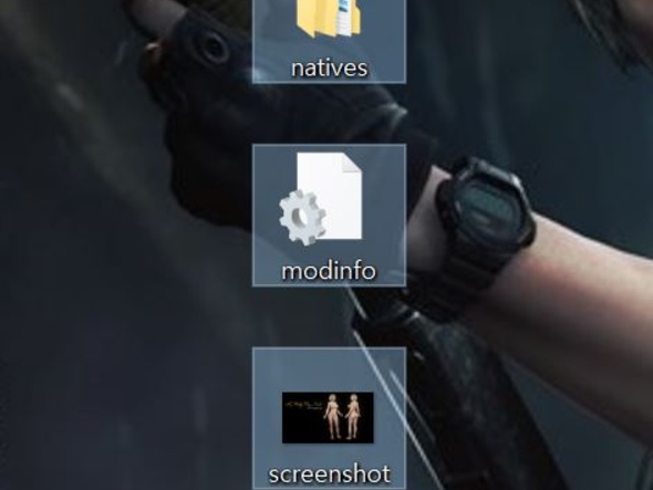 모드 적용은 어떻게 하는 건가요? | 바이오 하자드 RE:4 | RULIWEB