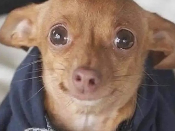 엔딩 별로라면서요? | 파이널 판타지 16 | RULIWEB