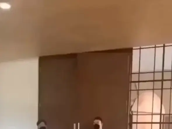 결혼식 입장 참사.webp | 유머 게시판 | RULIWEB