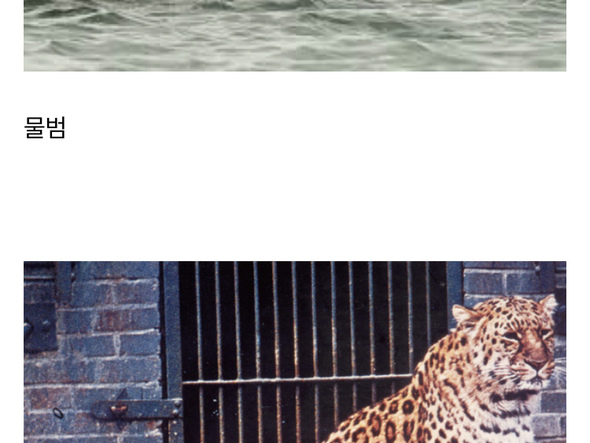 바다표범이 바다표범인 EU | 유머 게시판