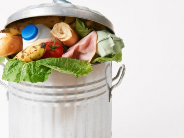 스타) 울트라리스크가 울리인 이유.EU | 유머 게시판