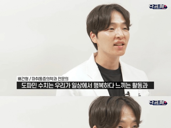 TS되길 바라는 유게이들이 많은 이유 | 유머 게시판 | RULIWEB