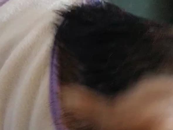 최근의 댕댕이 | R.로제타 | RULIWEB