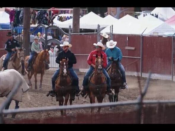 미국 서부 시골까지 파고 들어간 K문물 | 유머 게시판 | RULIWEB