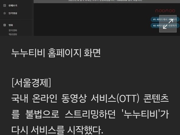 현재 ㅈ됐다는 OTT 시장 근황 | 유머 게시판