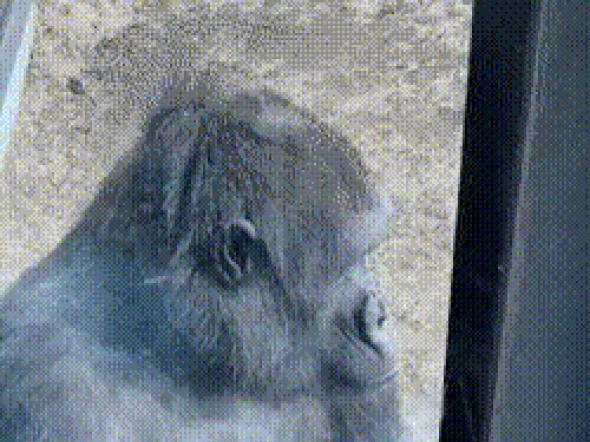 이번달 병원비 300 나오겠네ㄷㄷ | 유머 게시판 | RULIWEB