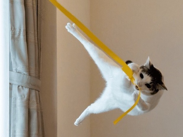 스포) 시리즈 시작부터 8편까지 그저 빛이었던 | 용과 같이 8 | RULIWEB