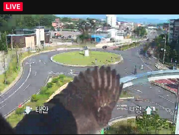 보령해저터널 홍보관 앞 cctv에 자주 목격된다는 새호리기 | 유머 게시판 | RULIWEB