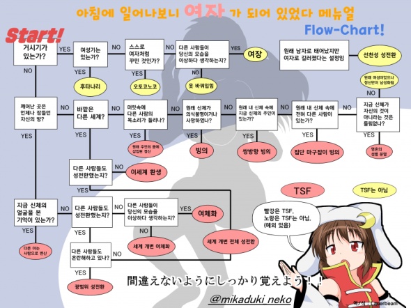 한국의 ts물 소설 초반전개 | 유머 게시판 | RULIWEB