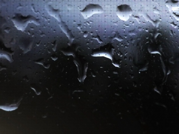 방송사곤가 했네 | KIA타이거즈 | RULIWEB