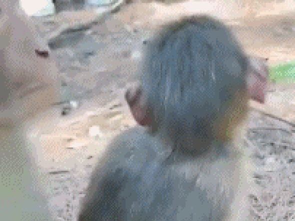 엄마인줄 알고 손잡은.gif | 유머 게시판 | RULIWEB