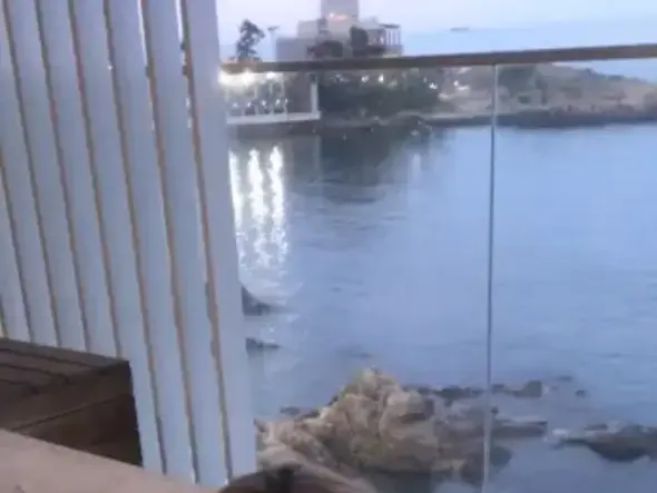 🥵🥵🥵 | 유머 게시판 | RULIWEB