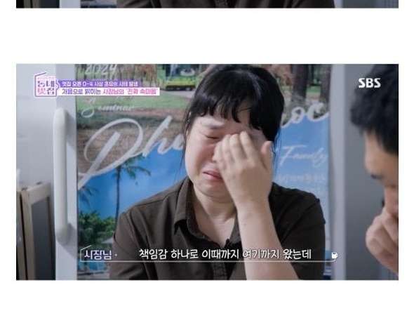 SBS의 골목식당 이후 새로운 프로그램