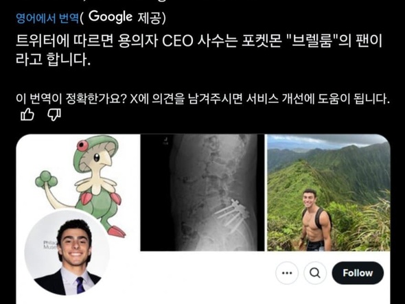 미국 CEO 암살범 근황 | 유머 게시판 | RULIWEB