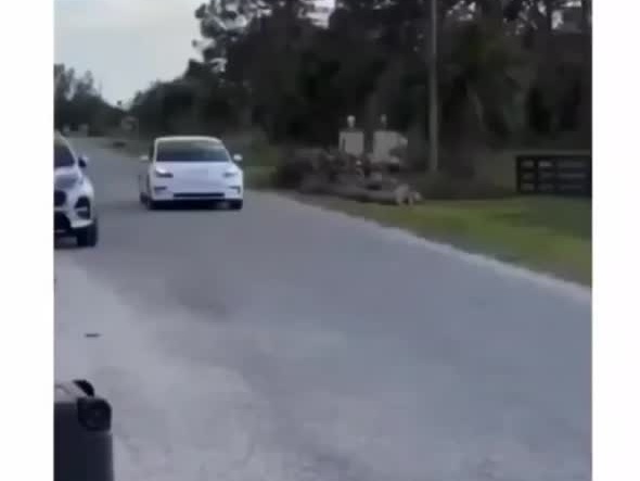 진짜 ㅂㅅ 같은 생각이네ㅋㅋㅋㅋ.mp4 | 유머 게시판 | RULIWEB