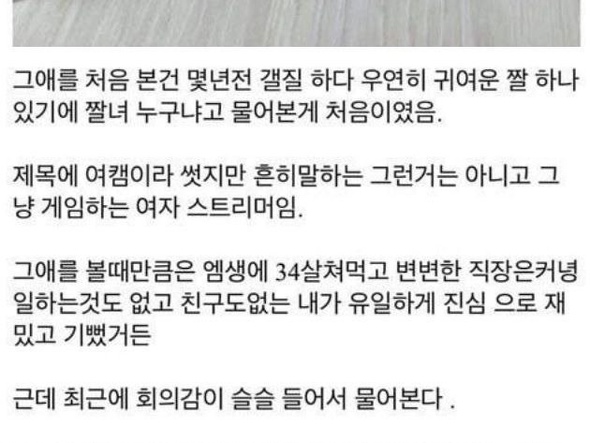 여캠 BJ를 너무 사랑한 고양이 JPG