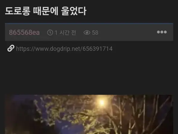 도로롱때문에 눈물남jpe